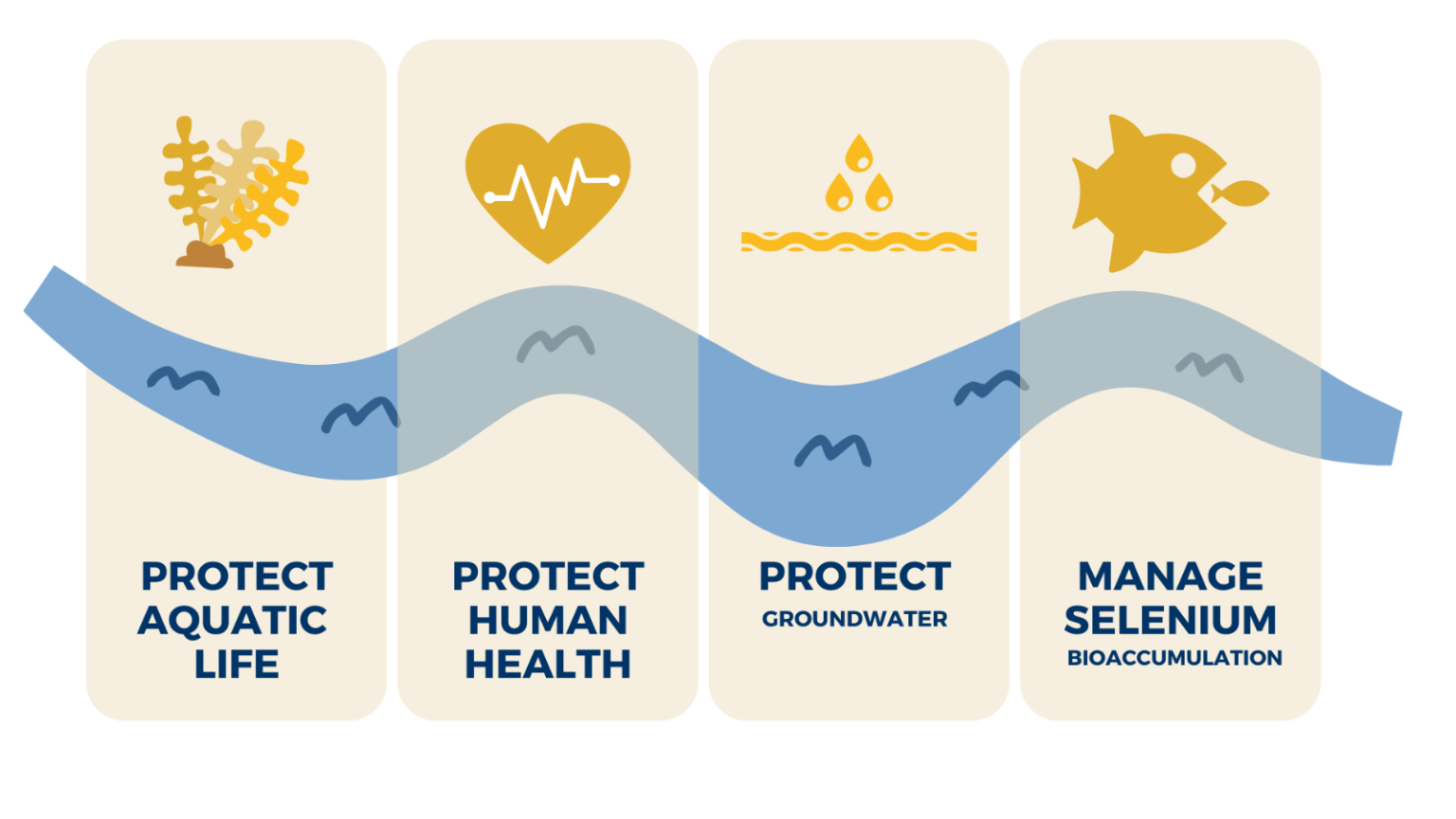 Area based management - Elk Valley Water Quality Hub