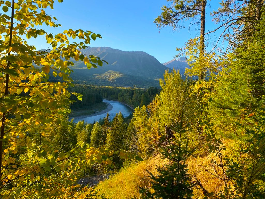 Area based management – Elk Valley Water Quality Hub