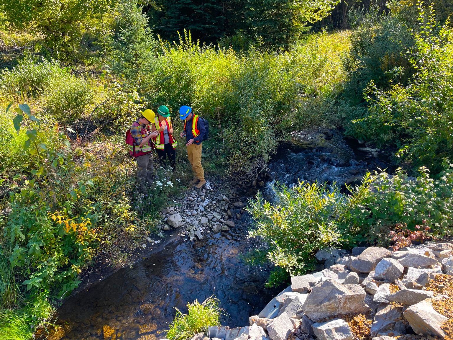 Area based management – Elk Valley Water Quality Hub