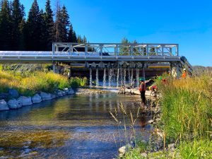 Area based management – Elk Valley Water Quality Hub